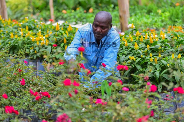 Four Companies Nominated for Horticulture Intl Trade Fair - KT PRESS