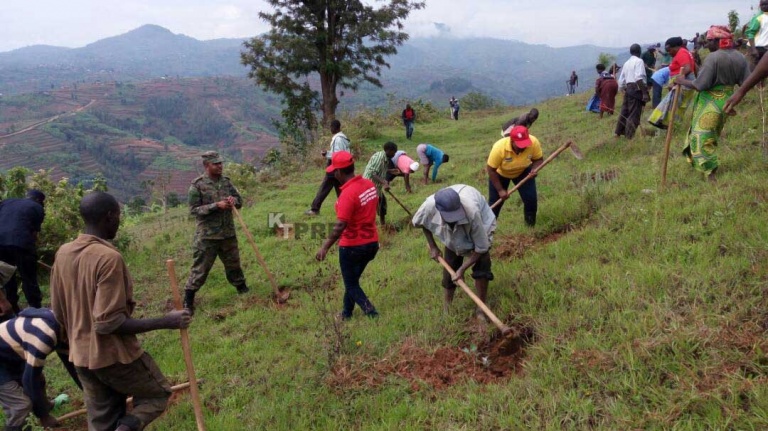 Rwandans Plant Trees Across the Country During Umuganda – KT PRESS
