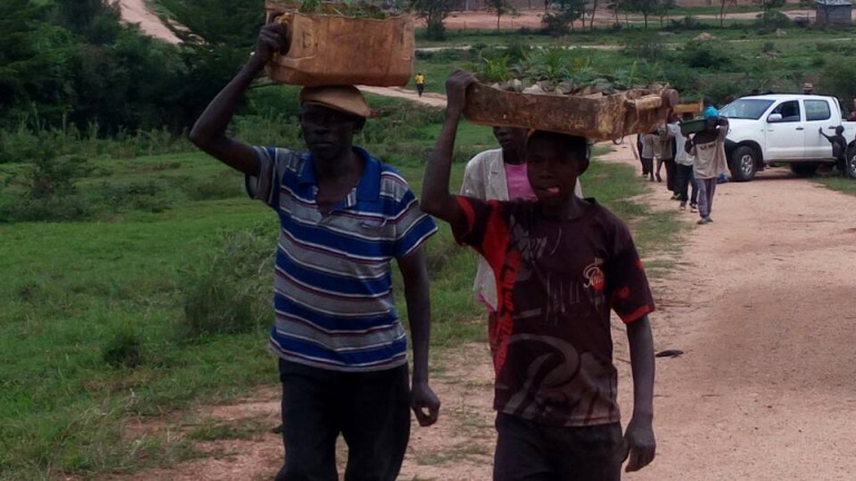 Rwandans Plant Trees Across the Country During Umuganda – KT PRESS
