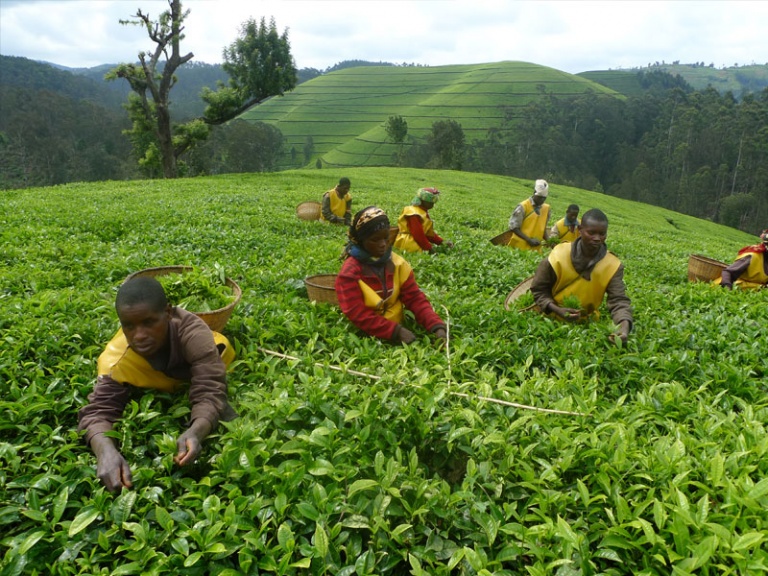 Rwanda: Cabinet Appoints New Chief Economist - KT PRESS