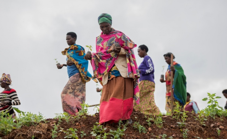 Rwanda Kicks Off Tree Planting Season - KT PRESS