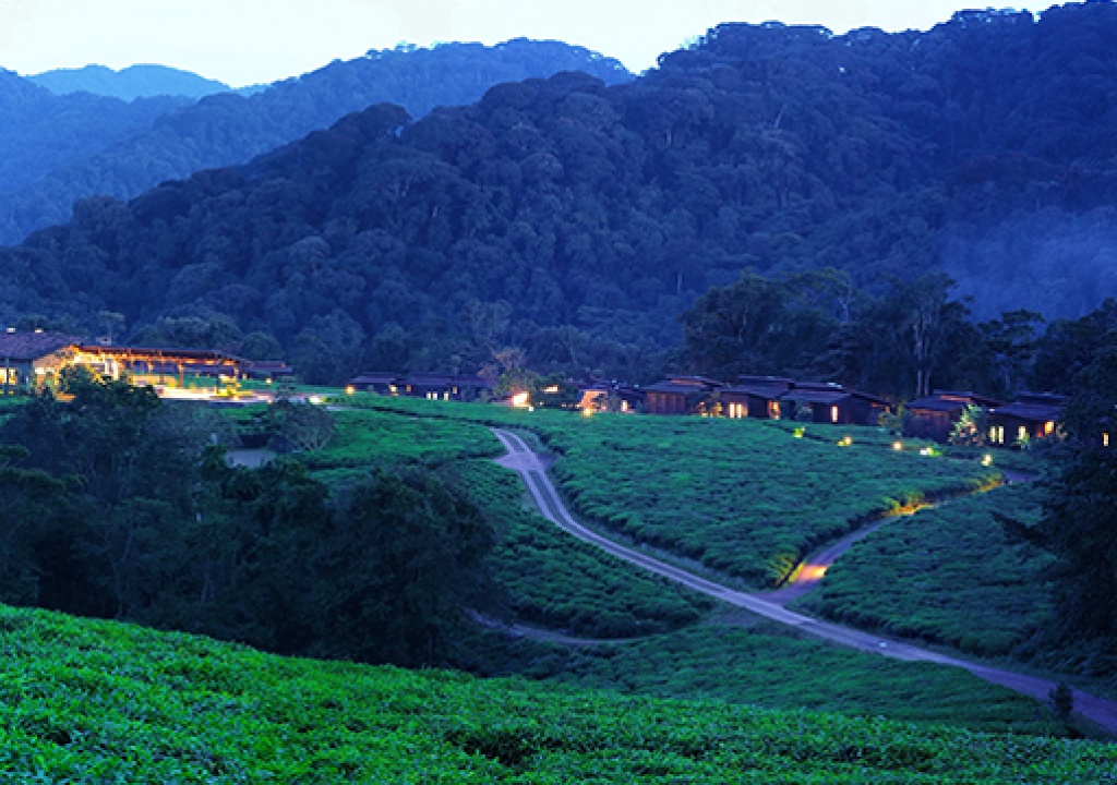 World 2021 Readers’ Choice Awards: Rwanda’s Luxury Resorts Ranked Best ...