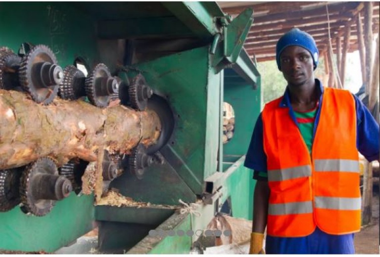 Rwanda to Launch an Open Competition for Wood Dealers – KT PRESS