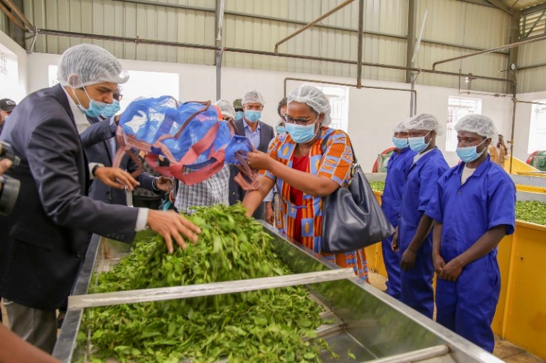 Rwanda Celebrates International Tea Day with Focus on Global Promotion ...