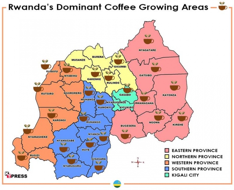 115 Years of Rwanda Coffee - KT PRESS