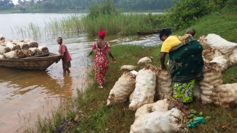 Rwanda’s Nkombo Island: The Dazzling Hidden Beauty - KT PRESS