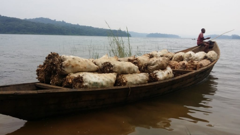 Rwanda’s Nkombo Island: The Dazzling Hidden Beauty - KT PRESS