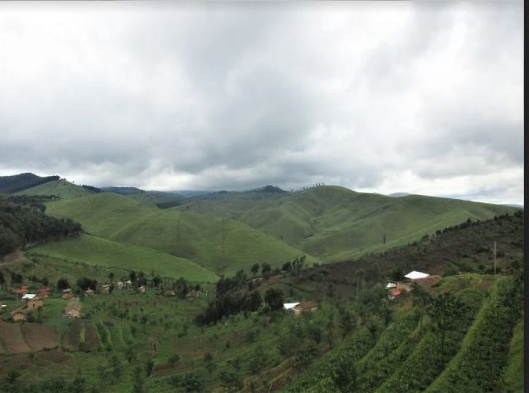 Sebeya River Conservation Project Brings Hope Among Beneficiaries - KT ...