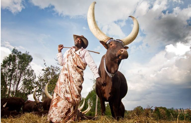 Inyambo, Expulsion From Heaven and Other Rwanda Reflections - KT PRESS