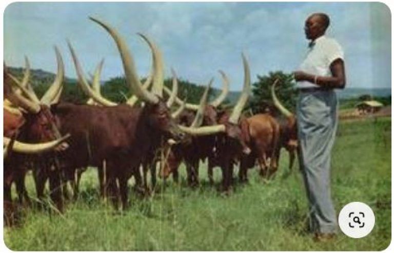 Inyambo, Expulsion From Heaven and Other Rwanda Reflections - KT PRESS