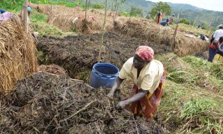 New Technology to Boost Agriculture Sector in Rwanda – KT PRESS
