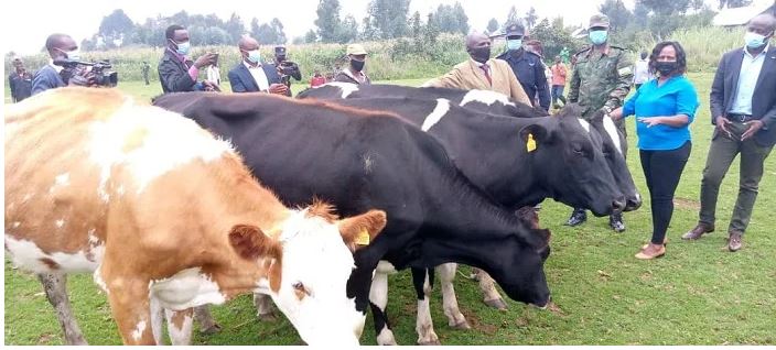 Kagame Supports A Citizen Who Lost Cows from Criminals' Attack - KT PRESS