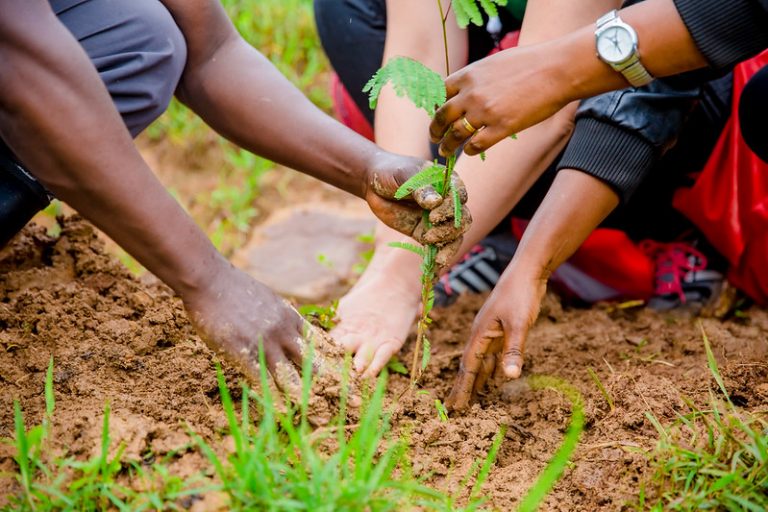 Rwanda Green Fund CEO Teddy Mugabo On Why Rwanda Is One of the Best ...