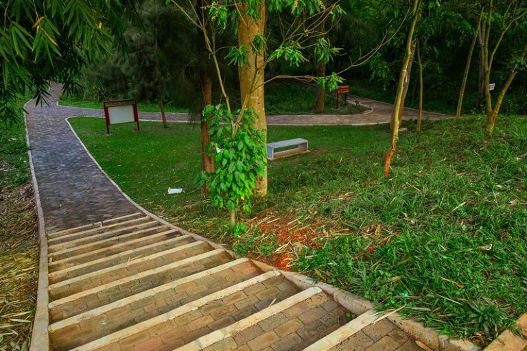 Rwanda Green Fund CEO Teddy Mugabo On Why Rwanda Is One of the Best ...