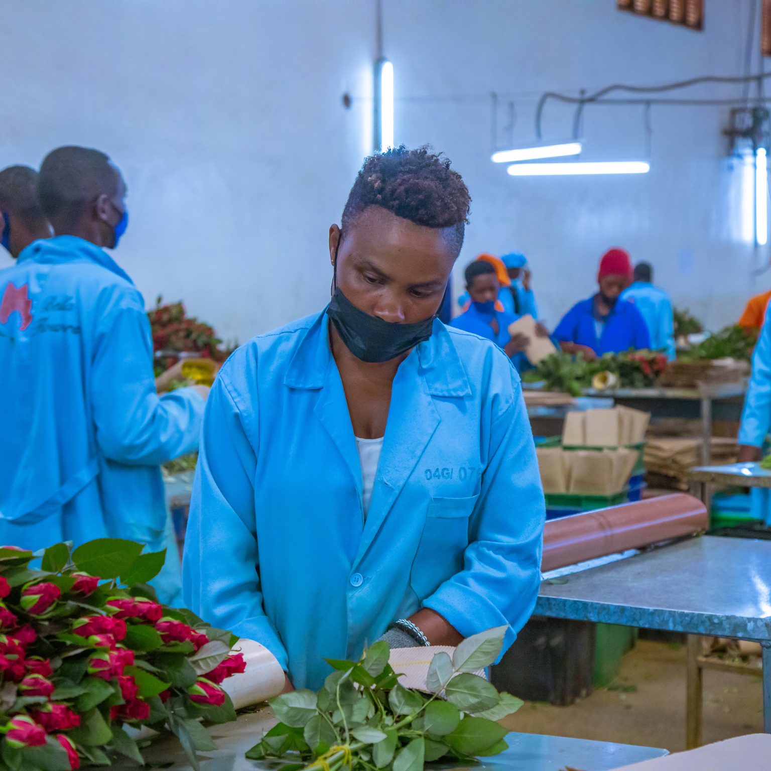 Bella Flowers Exporting Beauty Made in Rwanda - KT PRESS