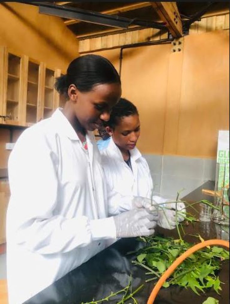 Rwanda’s Green Promoters Scoop the Wege Prize 2022 - KT PRESS