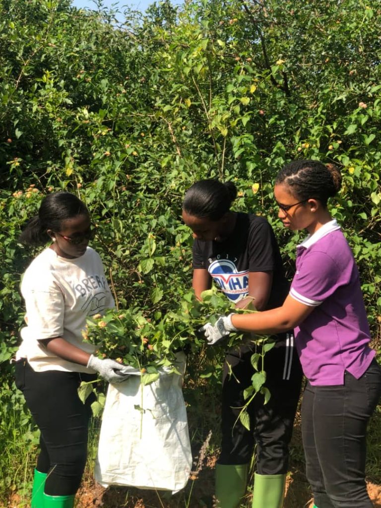 Rwanda’s Green Promoters Scoop the Wege Prize 2022 - KT PRESS