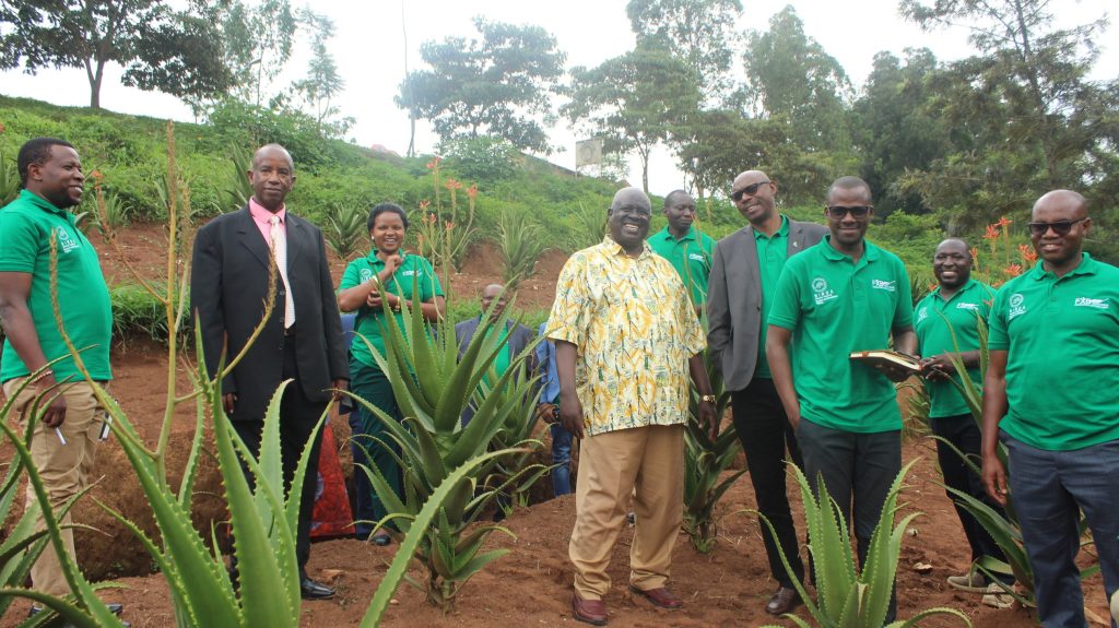 More Efforts to Restore Herbal Medicine In the Offing – KT PRESS