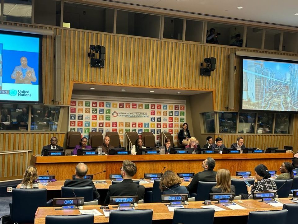 Rwanda Presents Progress on SDGs under Voluntary National Review 2023 ...