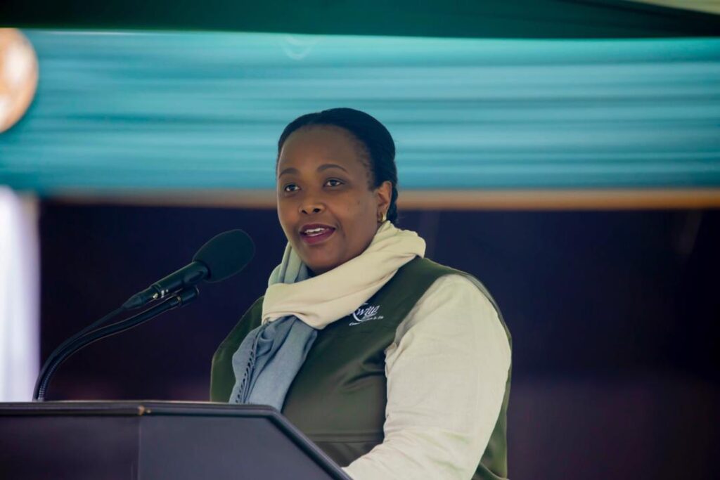 All You Need To Know About Kwita Izina 2023 - KT PRESS