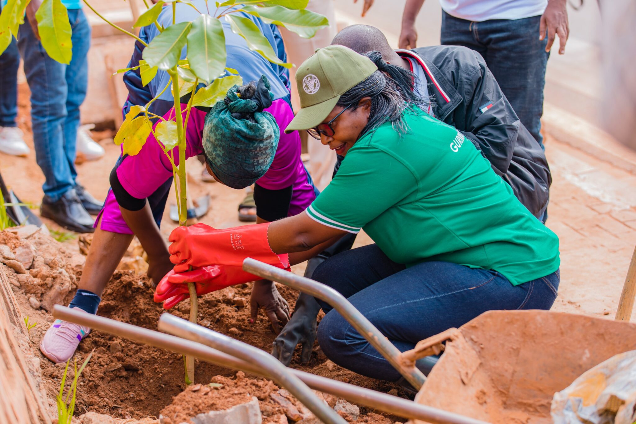 PHOTOS: Rwanda Kicks Off 63 million Tree Planting Season During ...