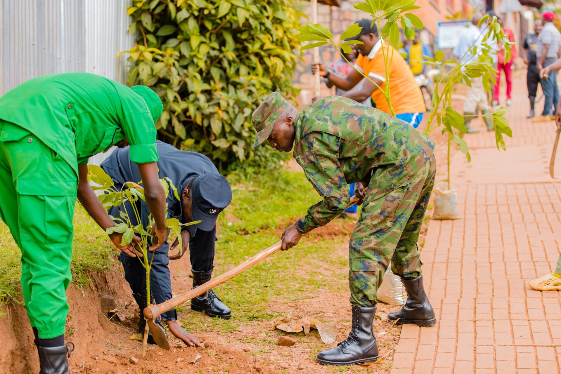 PHOTOS: Rwanda Kicks Off 63 million Tree Planting Season During ...