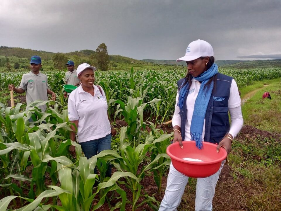 World Food Day 2023: Officials Explain Connection Between Water And ...