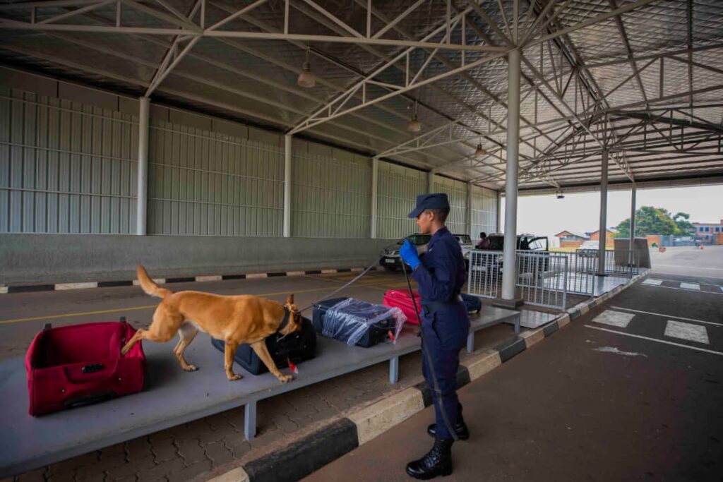 Understanding K-9: Operations and The Lifestyle of Police Service Dogs ...