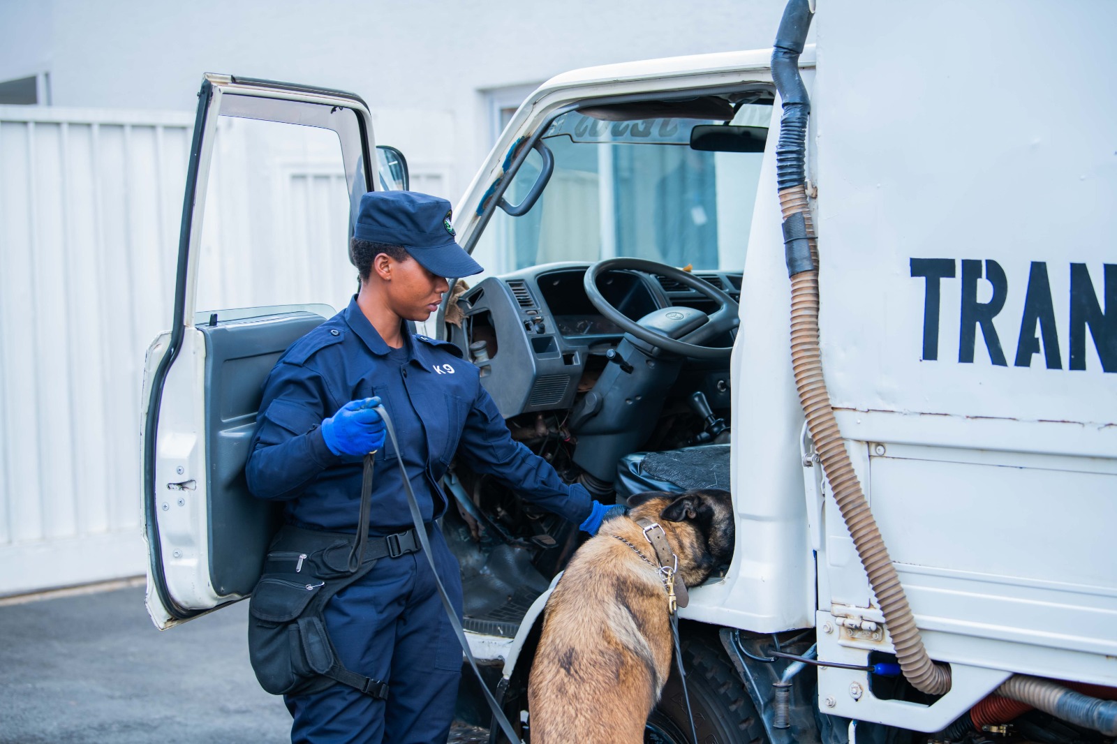 Understanding K-9: Operations and The Lifestyle of Police Service Dogs ...