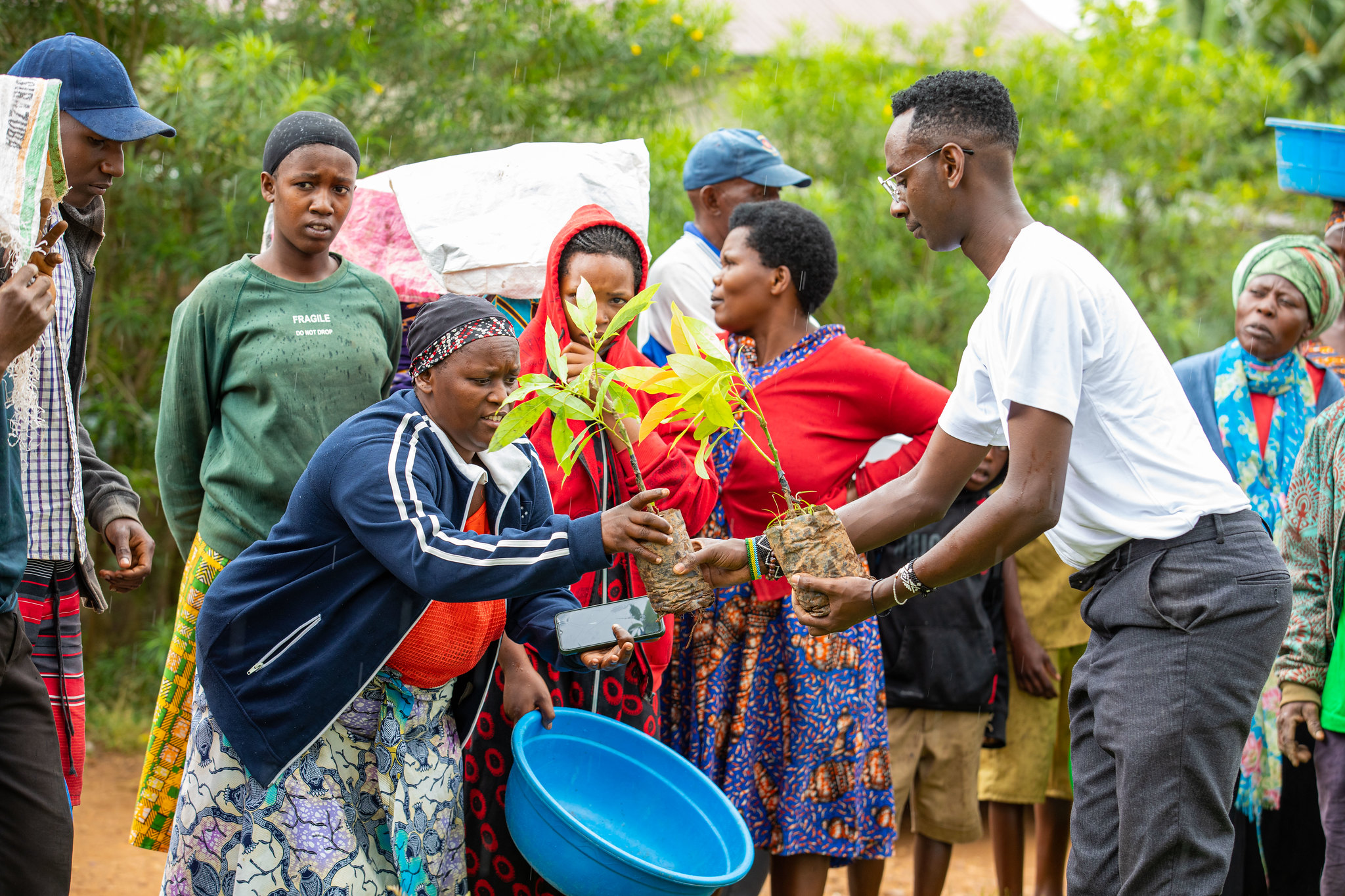 New Improved Technology To Reduce Loss of Trees Planted In Rwanda - KT ...