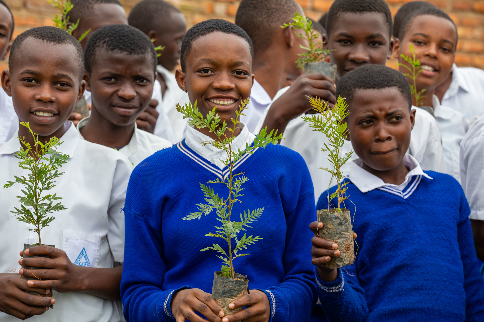 New Improved Technology To Reduce Loss of Trees Planted In Rwanda - KT ...