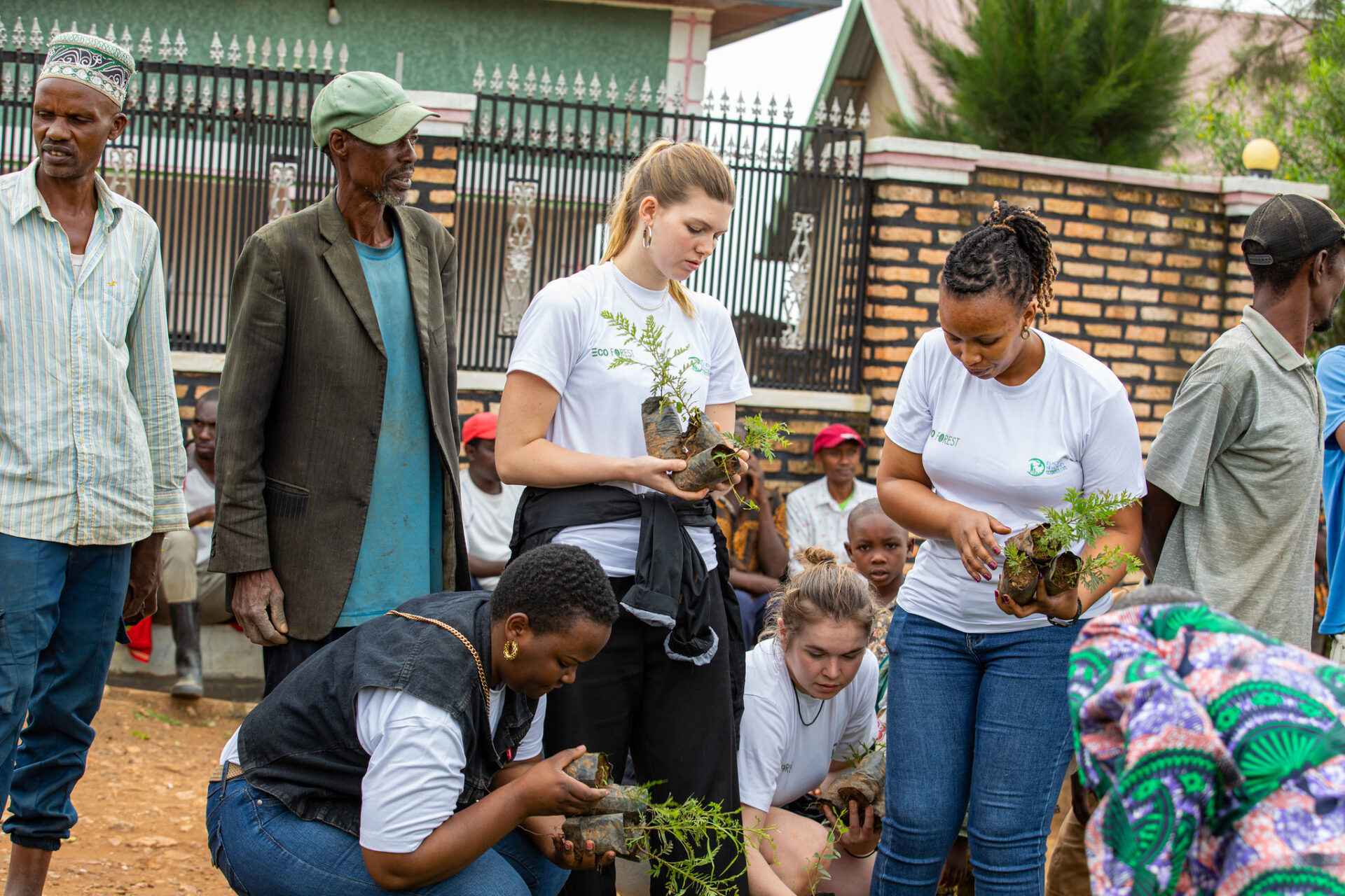 New Improved Technology To Reduce Loss of Trees Planted In Rwanda - KT ...