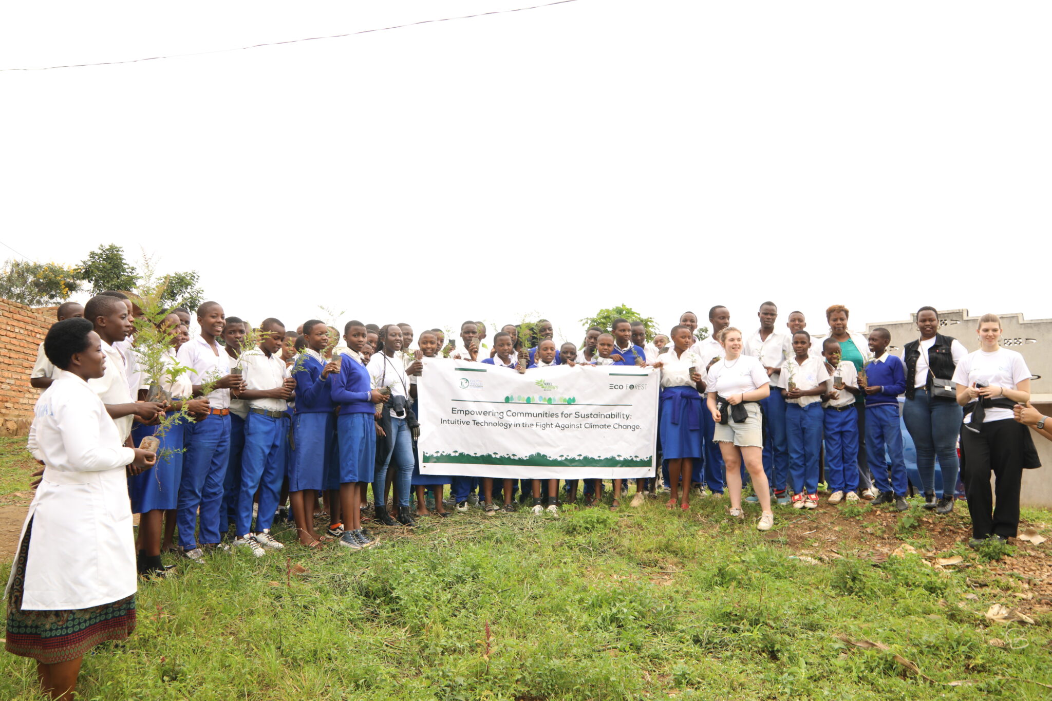 New Improved Technology To Reduce Loss of Trees Planted In Rwanda - KT ...