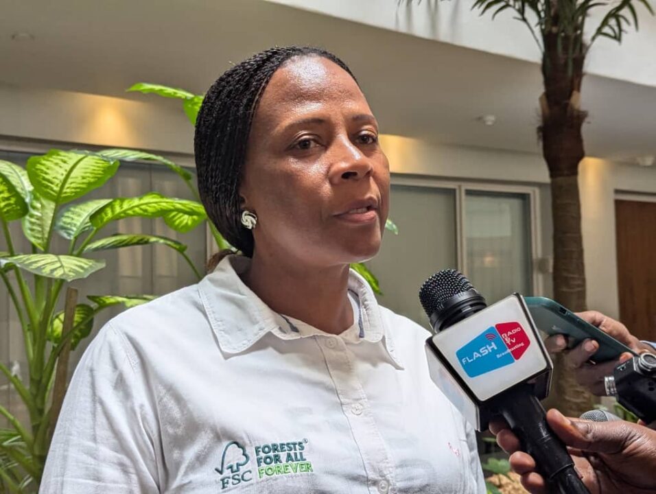 Forest Stewardship Council Commits to Back Rwanda’s Forests ...
