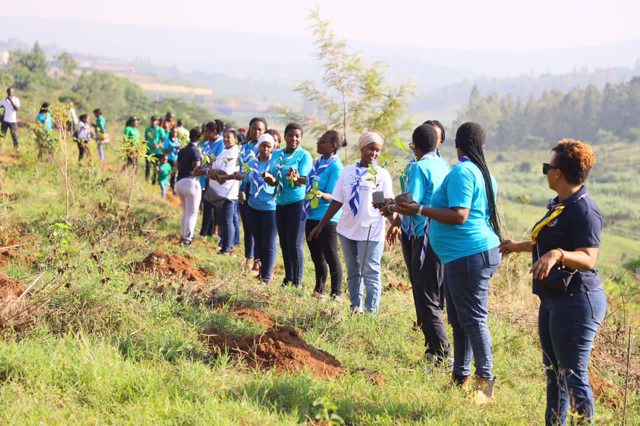 Forest Stewardship Council Commits to Back Rwanda’s Forests ...