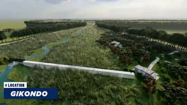 How 5 Wetlands In Kigali Will Improve Rwanda’s Climate Resilience - KT ...