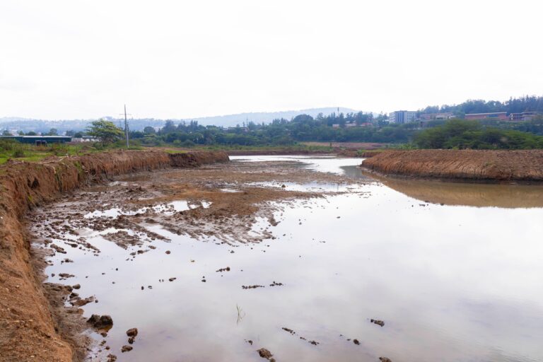 How 5 Wetlands In Kigali Will Improve Rwanda’s Climate Resilience - KT ...