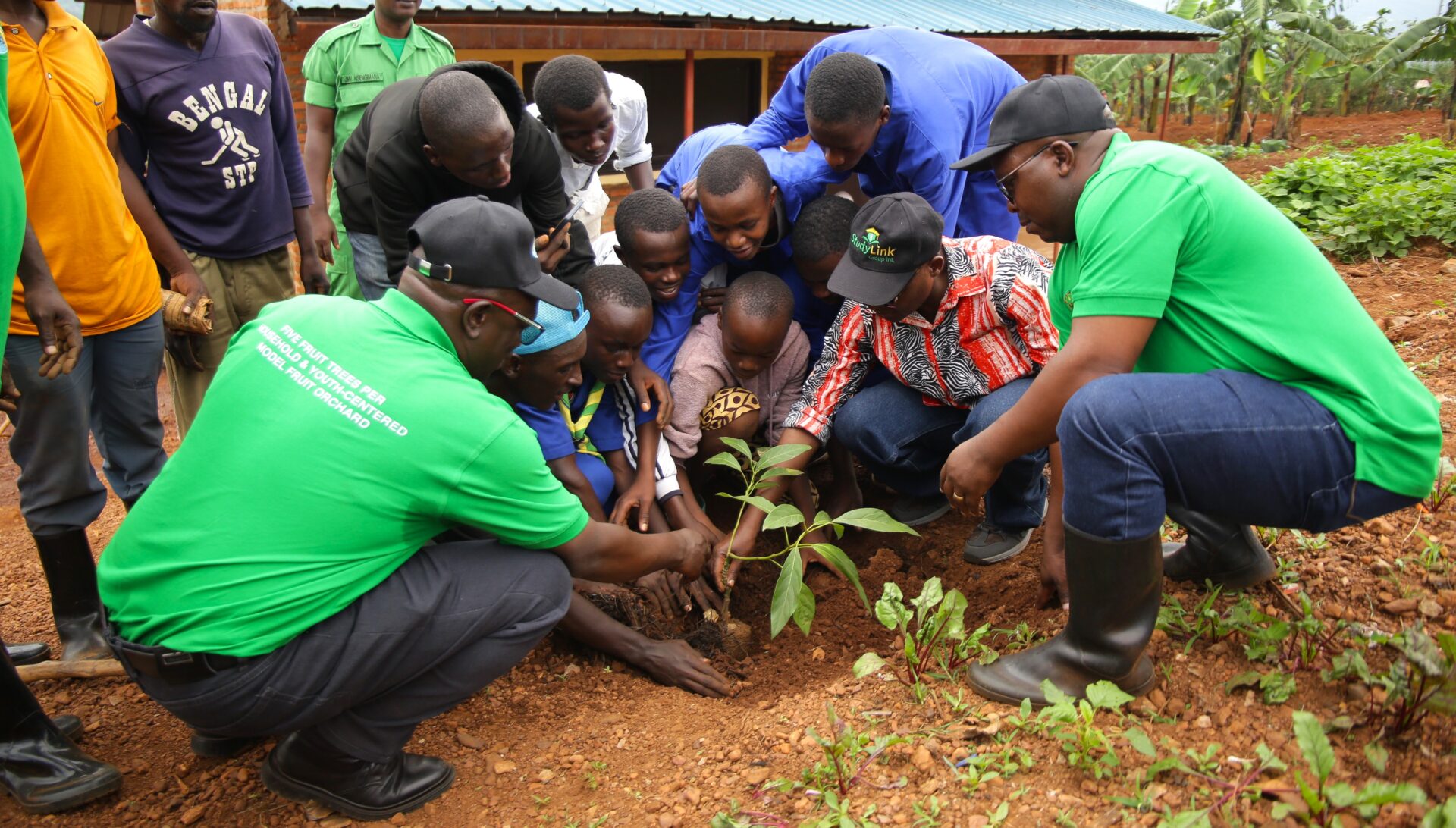 Planting a Future: How Rwanda is Fighting Stunting with Fruit Trees ...