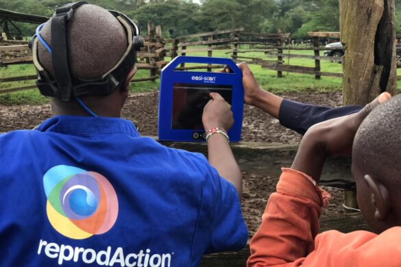 Rwanda Energy Group Reappoints Ron Weiss CEO of REG – KT PRESS