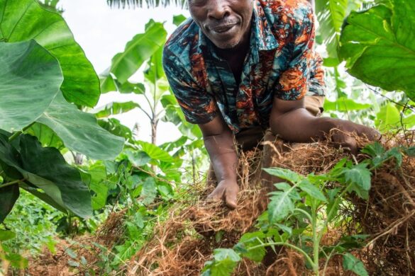 King Mutara III Rudahigwa: Life and Death of A National Hero – KT PRESS