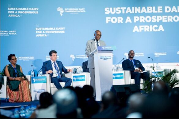 Rwanda’s Mega Construction Projects In Progress – KT PRESS