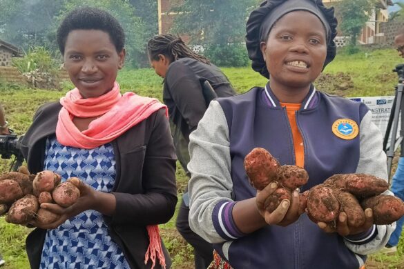 Uganda Expo: Rwanda Tea Scoops All the Best Awards – KT PRESS