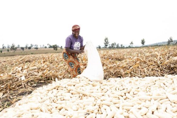 Cabinet Approves the 2nd National Strategy for Transformation (NST2 ...