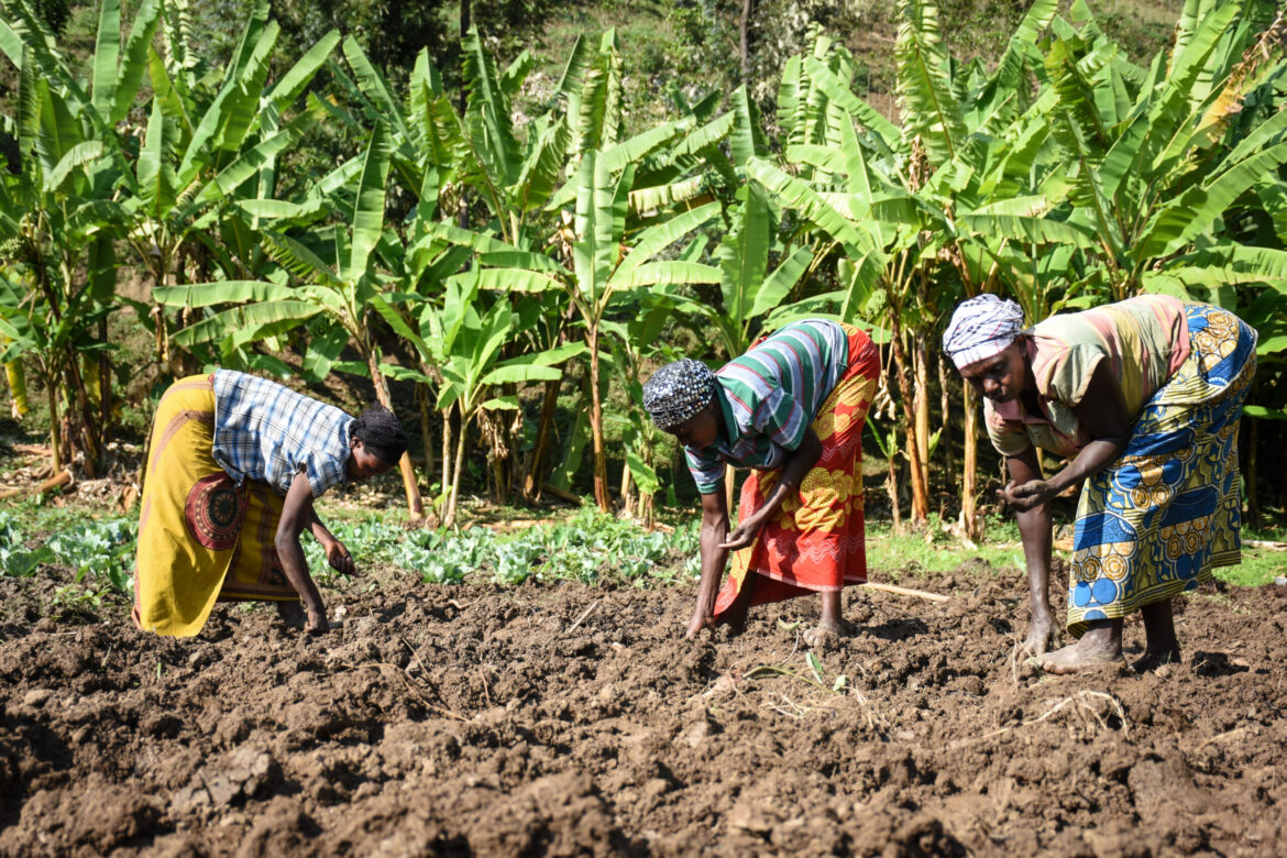 Why Supporting Women Farmers is Crucial for Rwanda’s Agricultural ...