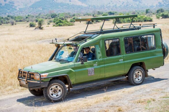 Rwanda’s BNR Wants Businesses and Individuals Shielded from Forex ...