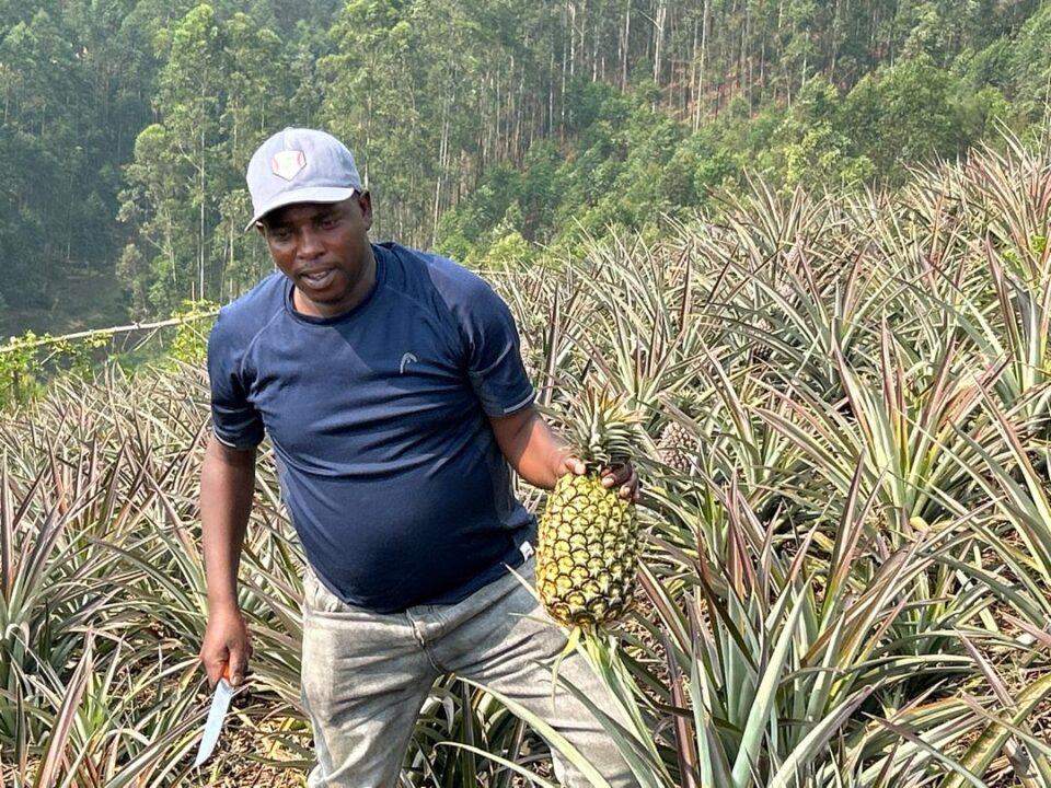 From Dry Land to Bumper Harvests: How Farmers Are Beating Drought in ...