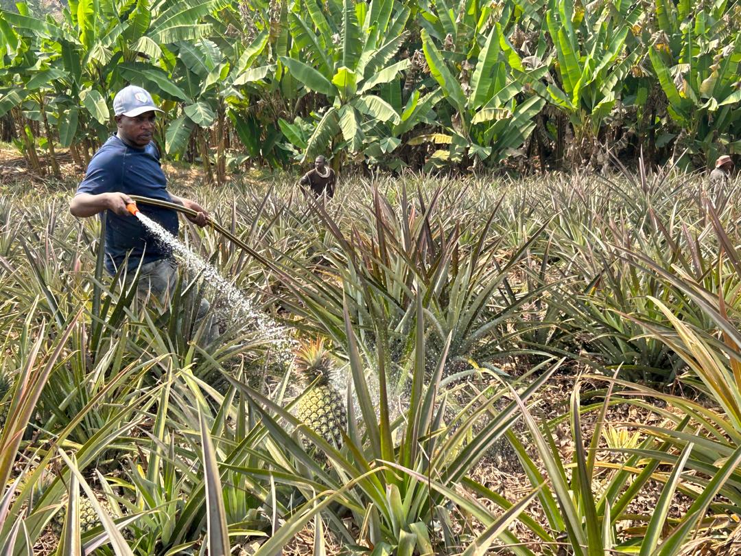 From Dry Land to Bumper Harvests: How Farmers Are Beating Drought in ...