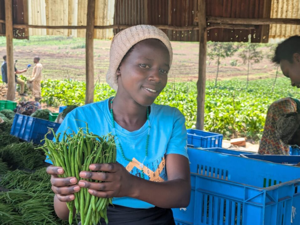 From Water Shortages to Abundant Harvests: Rwanda’s SAIP Success - KT PRESS