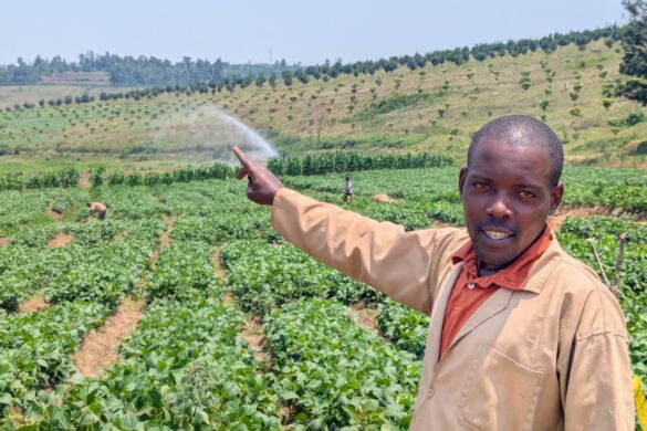 Cabinet Approves the 2nd National Strategy for Transformation (NST2 ...