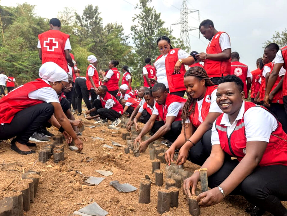 Rwanda Red Cross Youth Mark World First Aid Day 2025 with Tree Planting ...